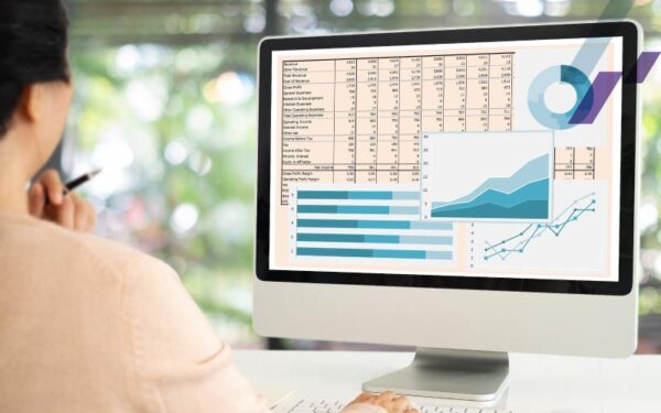 CaseWare IDEA disponible en español: funciones